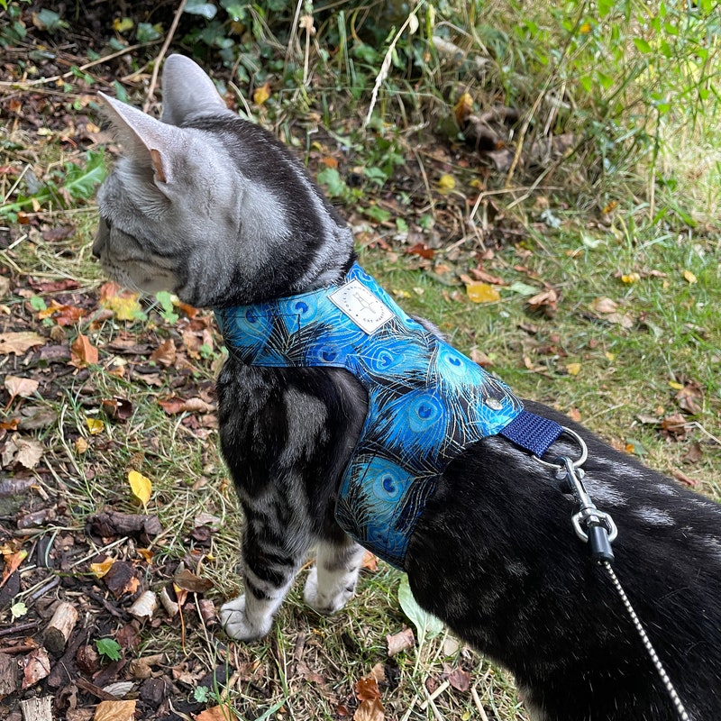 Cat Harness Pattern - Etsy