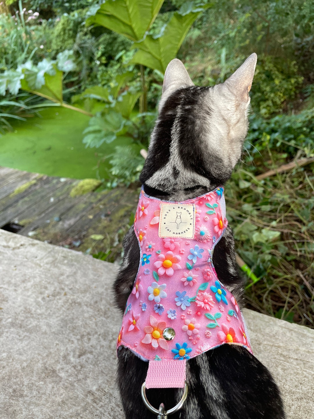 Butterfly Style Cat Harness. Escape Proof, Kitten Harness,fantasy ...
