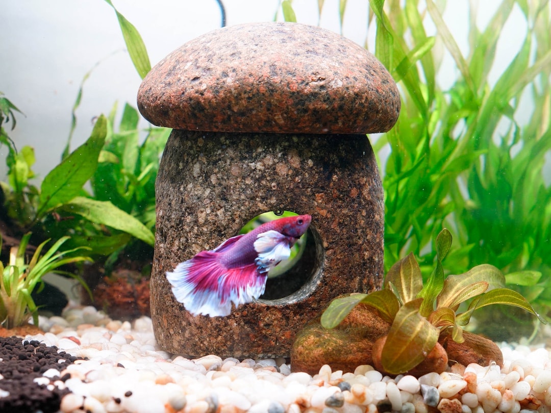Aquarium Fish Shelter, Mushroom-shaped Stone Fish Hideout, Stone ...