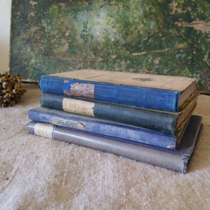 Blue Books - Etsy