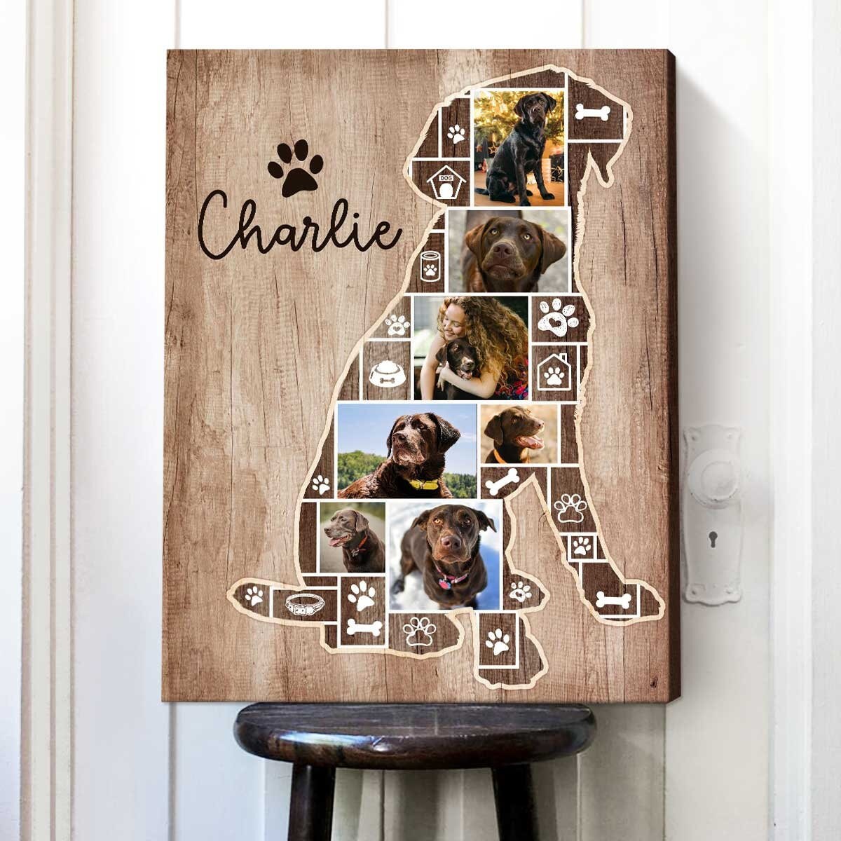 Animals Collage Pictures