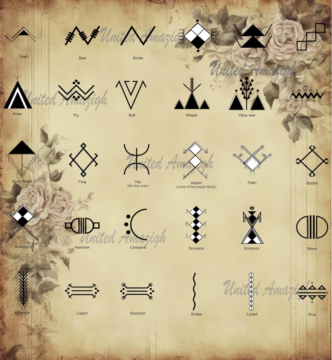 Berbers Amazigh Tattoo Symbols, Africa Afro Hairstyle Art, 24 Berber ...
