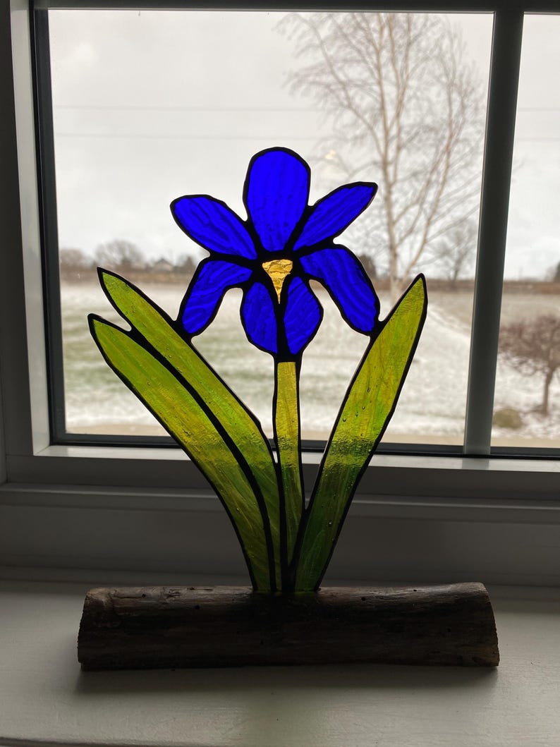 Stained Glass Iris Inlaid on a Driftwood Base - 11 Colours to Choose ...