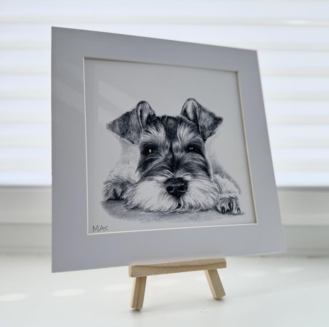 Miniature Schnauzer Artwork Print Signed by Matt Lloyd | Mounted Pencil ...