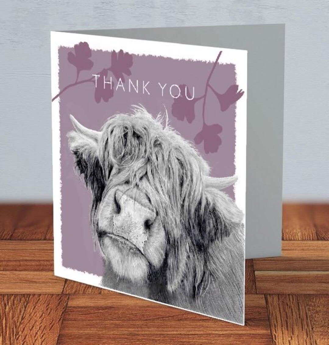 Highland Cow - Thank You Card | Animal Lover, Thank a Friend ...