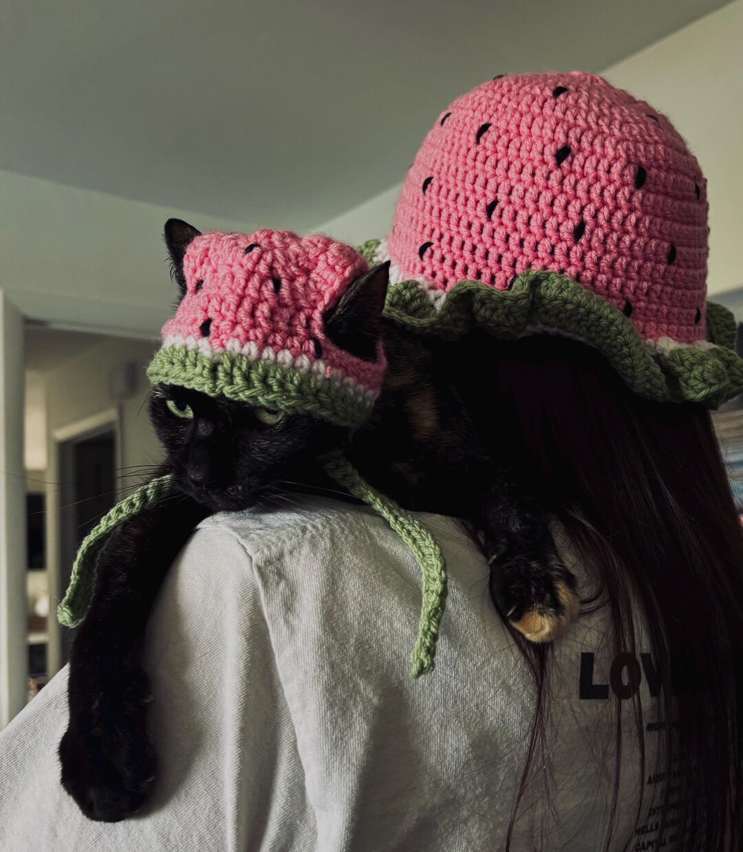 Matching Crochet Watermelon Hats for Cats and Owner - Etsy