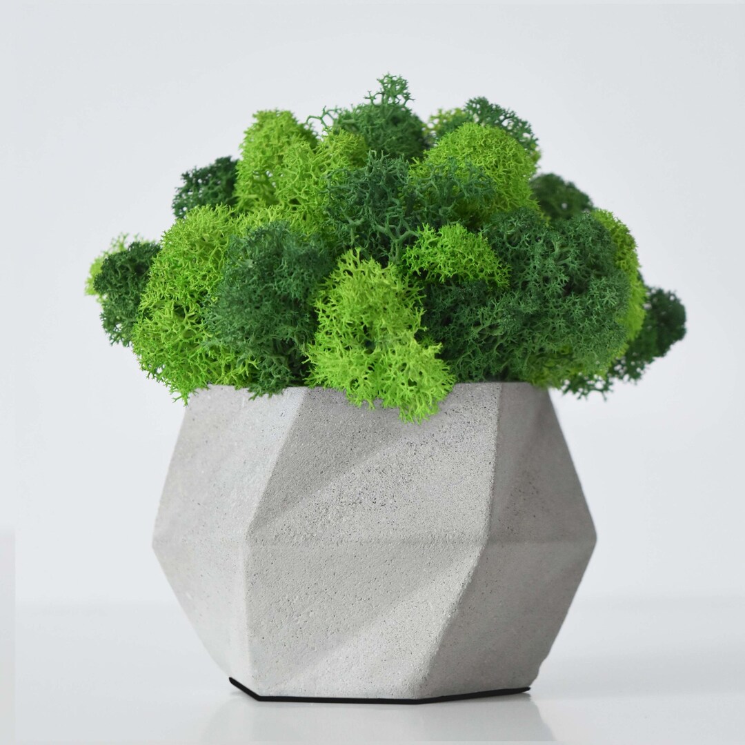 GRAY POT HURRICANE Handmade Concrete Planter With Stabilized Moss - Etsy