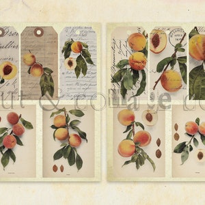 Pretty PEACHES Printable Junk Journal Paper Kit INCLUDES 10 - Etsy