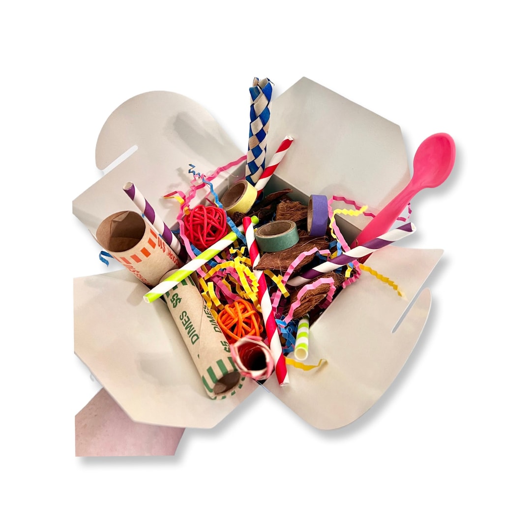 All NEW Takeout Foraging Box- Coin Rolls, Paper Straws, Coconut Husk OR ...