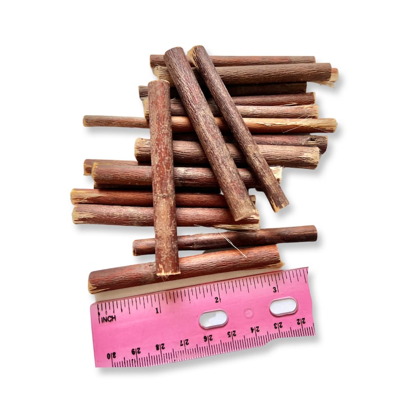 Chewing Stick - Etsy