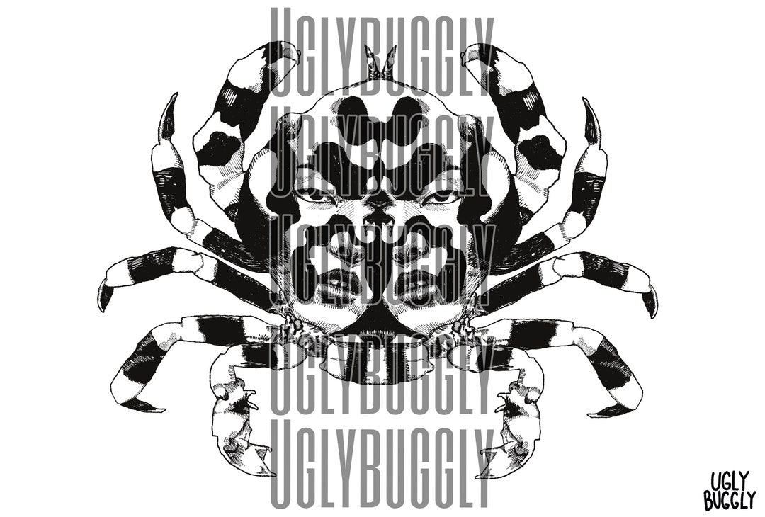 Bug Human Hybrid Portrait Print: Crab - Etsy