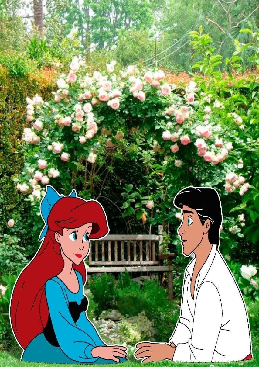 Little Mermaid And Eric Iphone Wallpaper