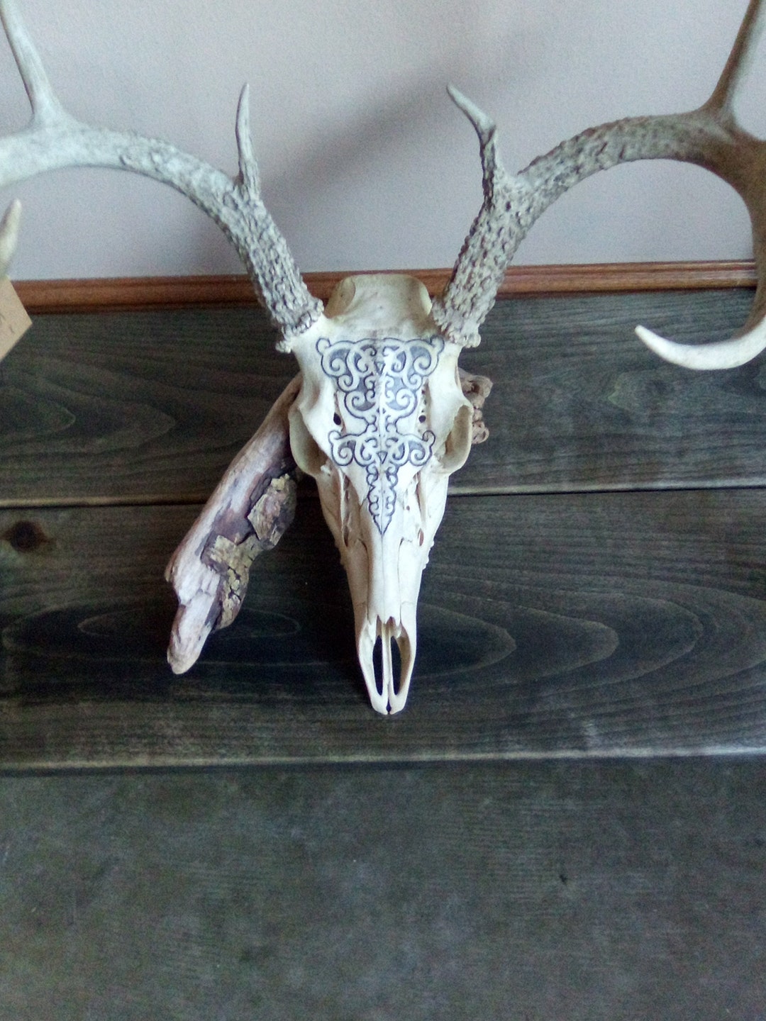 Carved Whitetail Deer Skull - Etsy