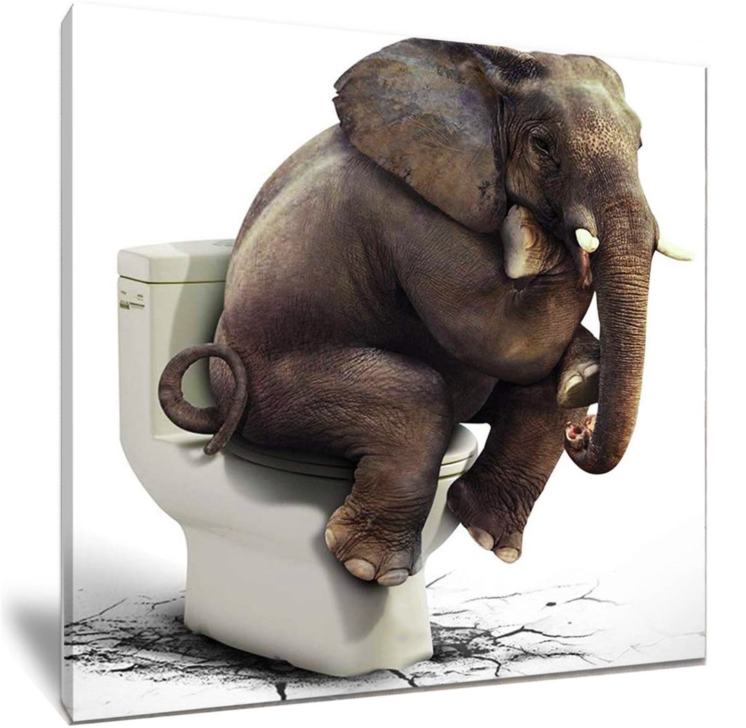 Elephant on the Toilet HD Framed Canvas Wall Art Picture Print - Etsy UK