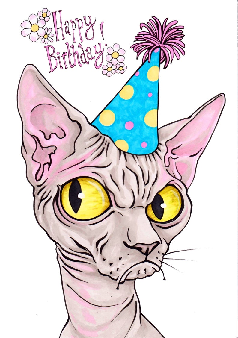 Happy Birthday Grumpy Sphynx Cat Hairless Party Hat Funny - Etsy
