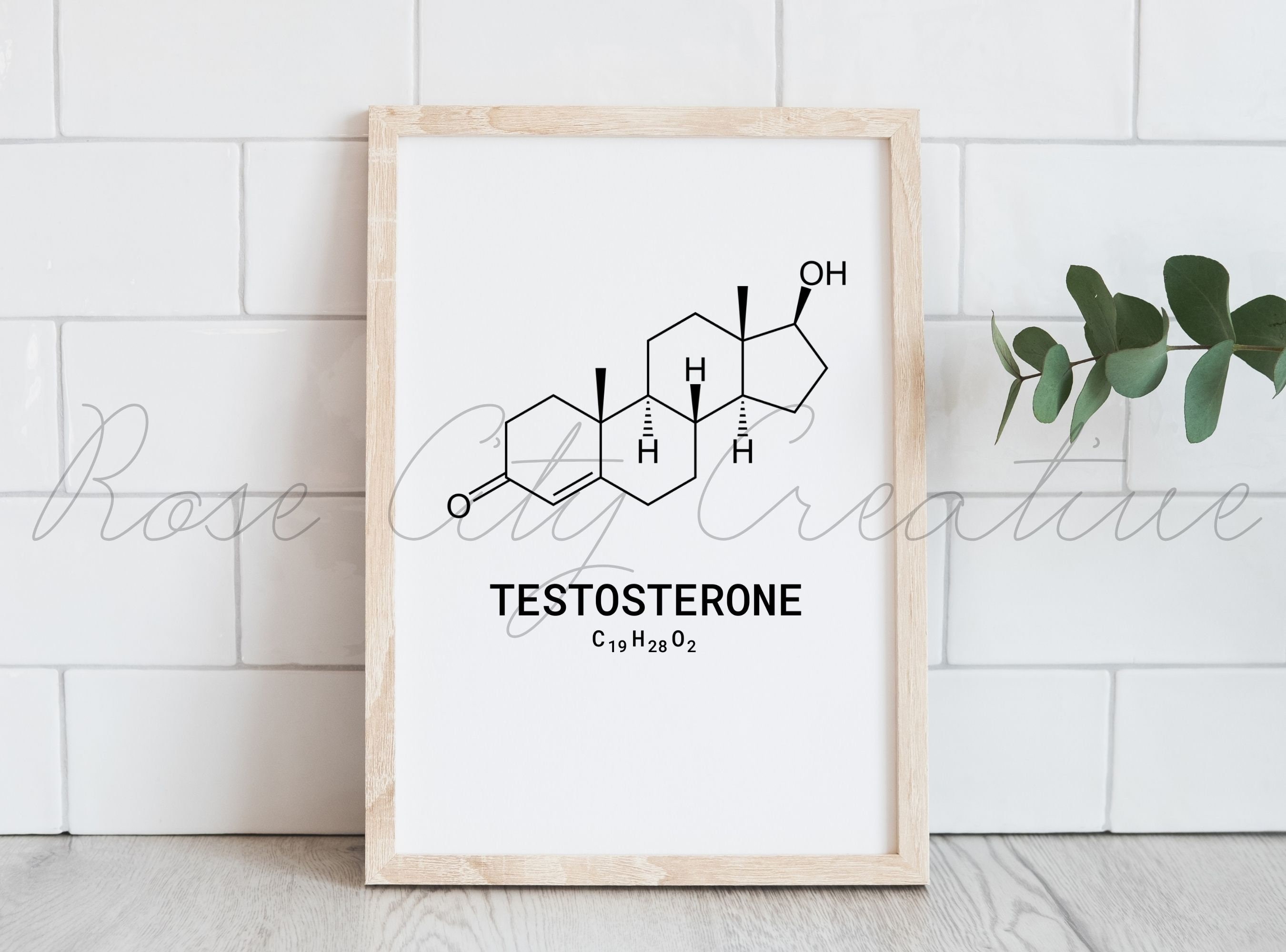 Testosterone Molecule, Printable Science Art, Endocrinology, Biology ...