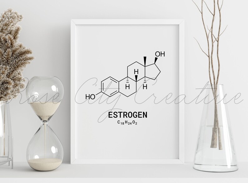 Estrogen Molecule Printable Science Art Feminist Gift Girl - Etsy