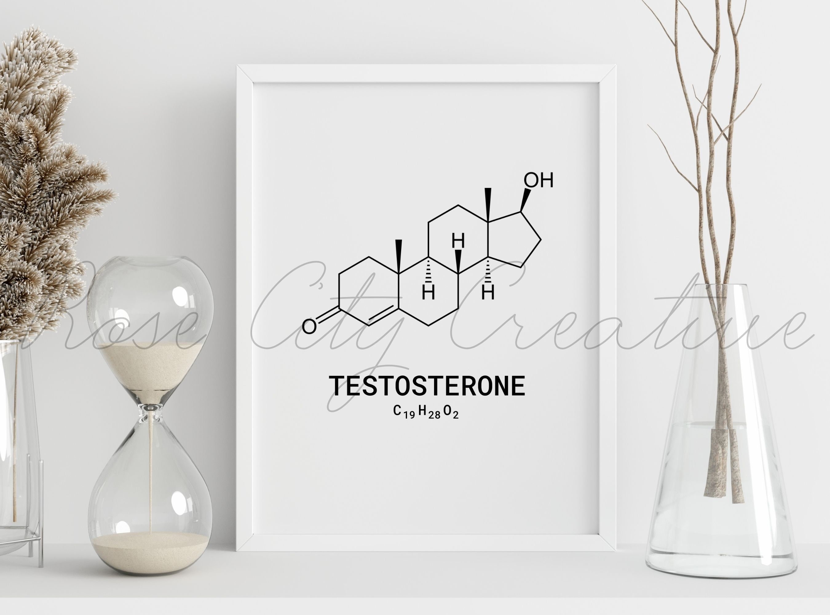 Testosterone Molecule, Printable Science Art, Endocrinology, Biology ...