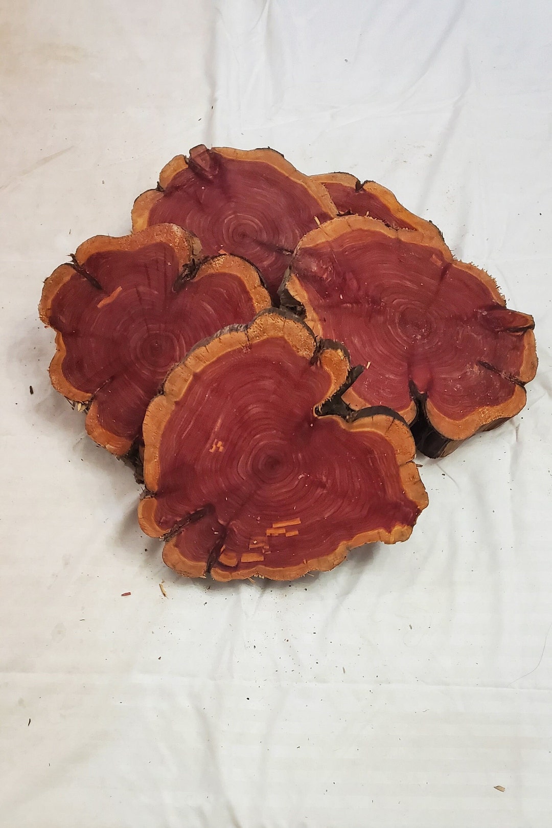 Eastern Red Cedar Wood Cookie Slices 7", 8", 9”, and 10" Live Edge ...