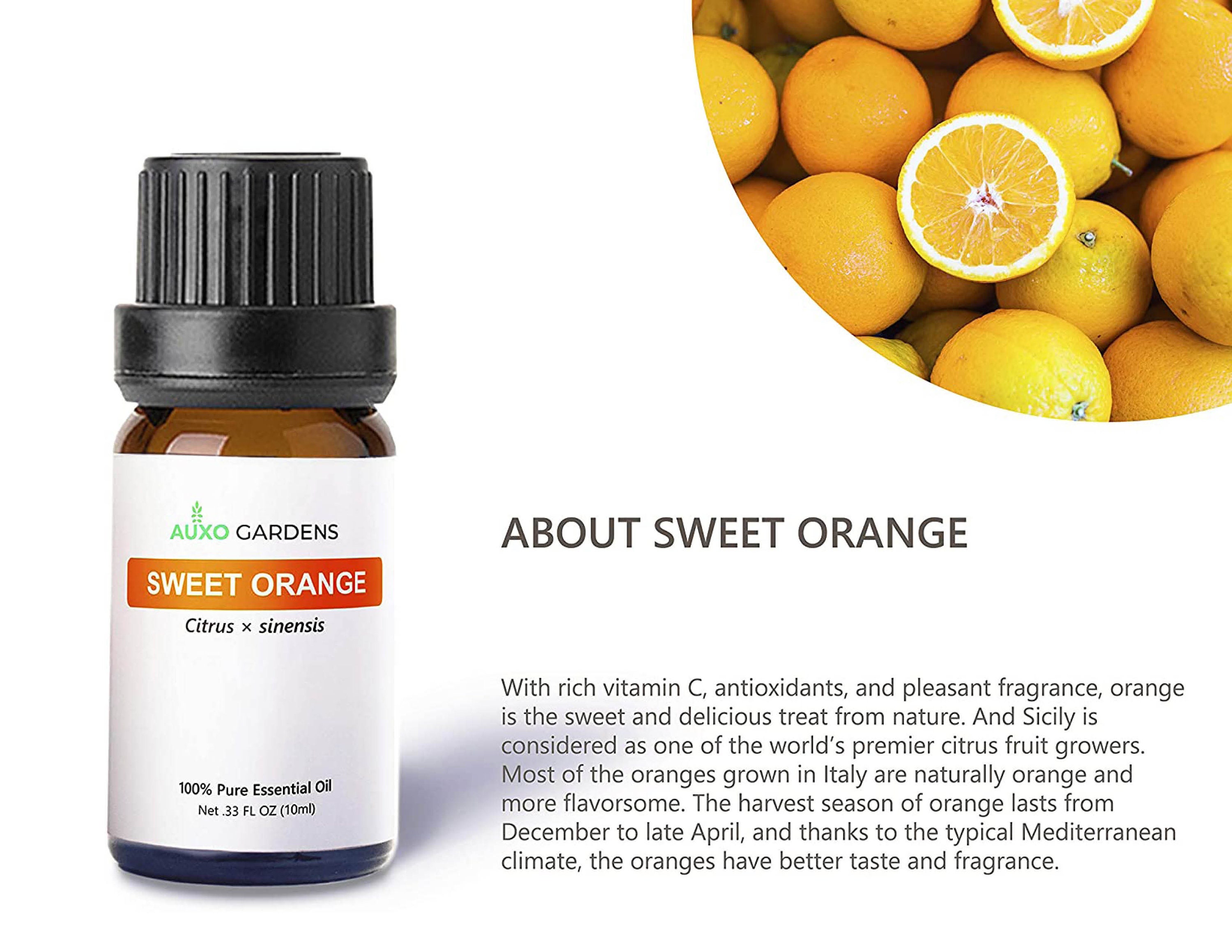 Citrus Essential Oils Set of 3 (10ml) -lemon, Sweet Orange, Petitgrain ...