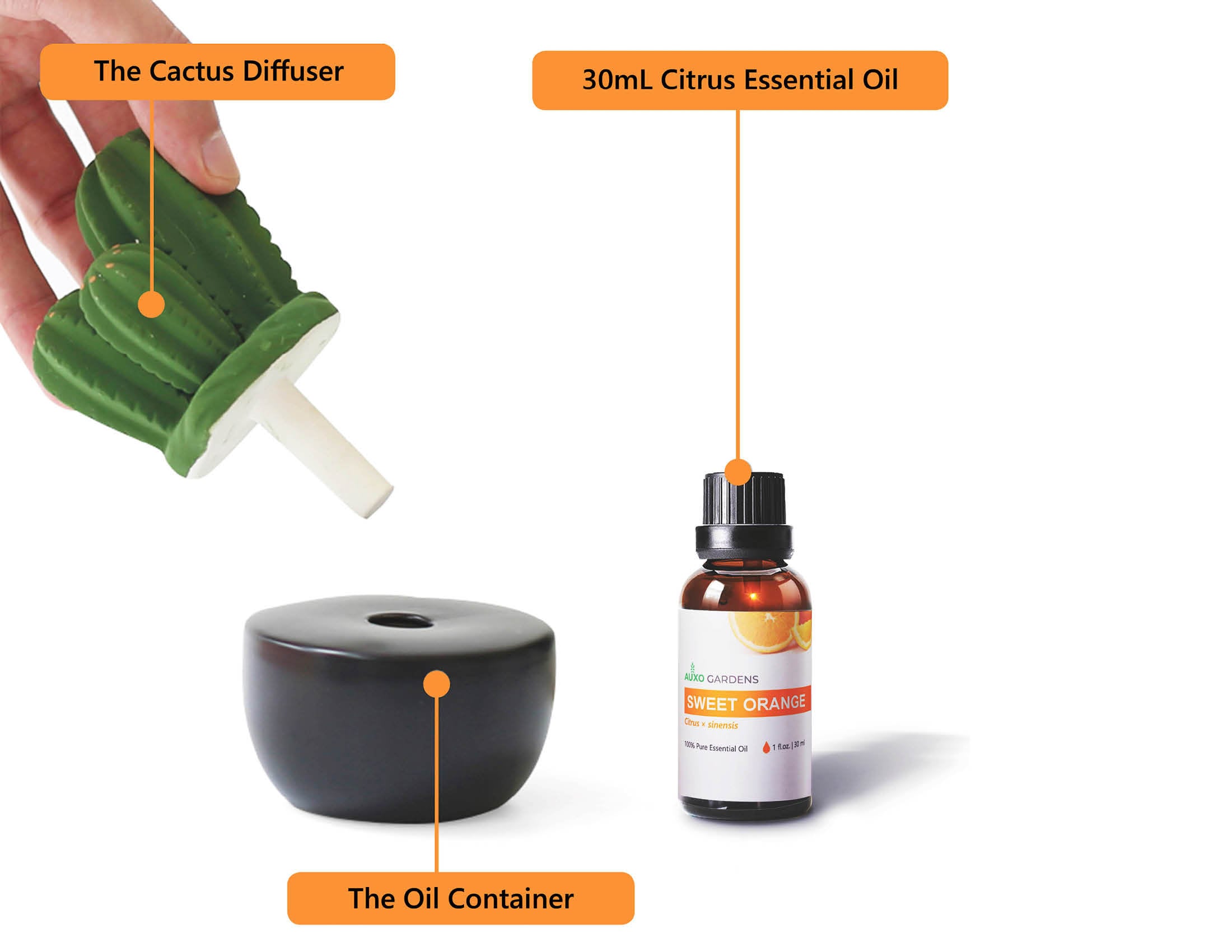 Cactus Ceramic Essential Oil Diffuser (domino) -cute Decoration for ...