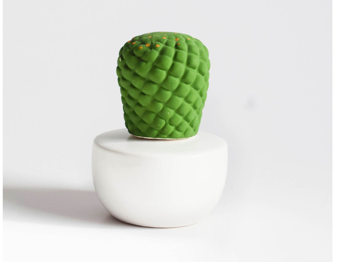 Cactus Ceramic Essential Oil Diffuser (golden Pin Cushion) -cute ...