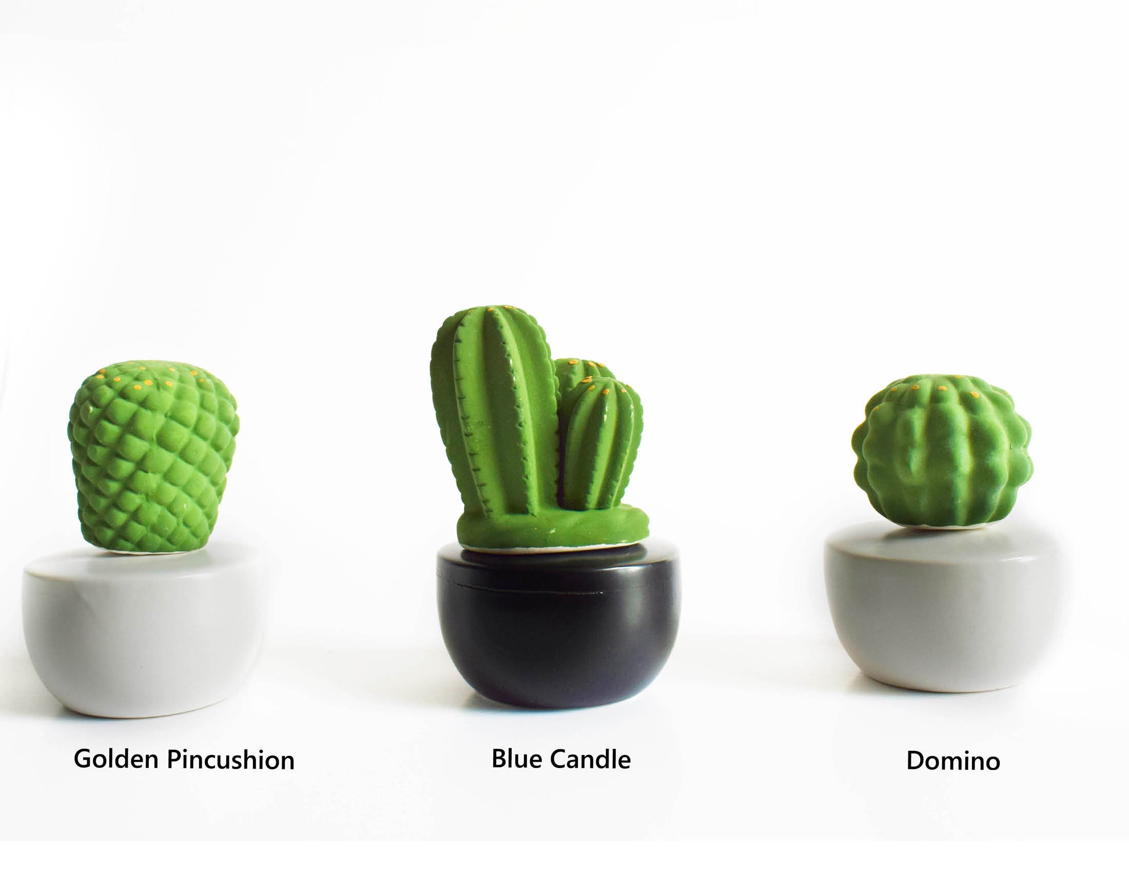 Cactus Ceramic Essential Oil Diffuser (domino) -cute Decoration for ...