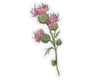Thistle Flowers - Etsy