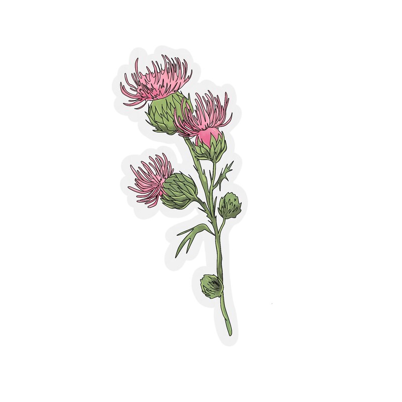 Thistle Flowers - Etsy