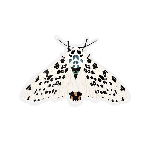 Leopard Moth - Etsy