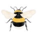 Transparent Bee Sticker | Clear Bumble Bee Sticker | Waterproof Water ...