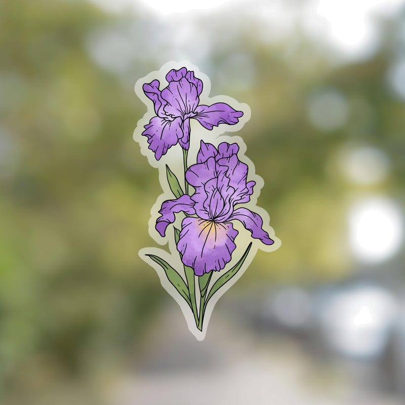 Water Iris - Etsy