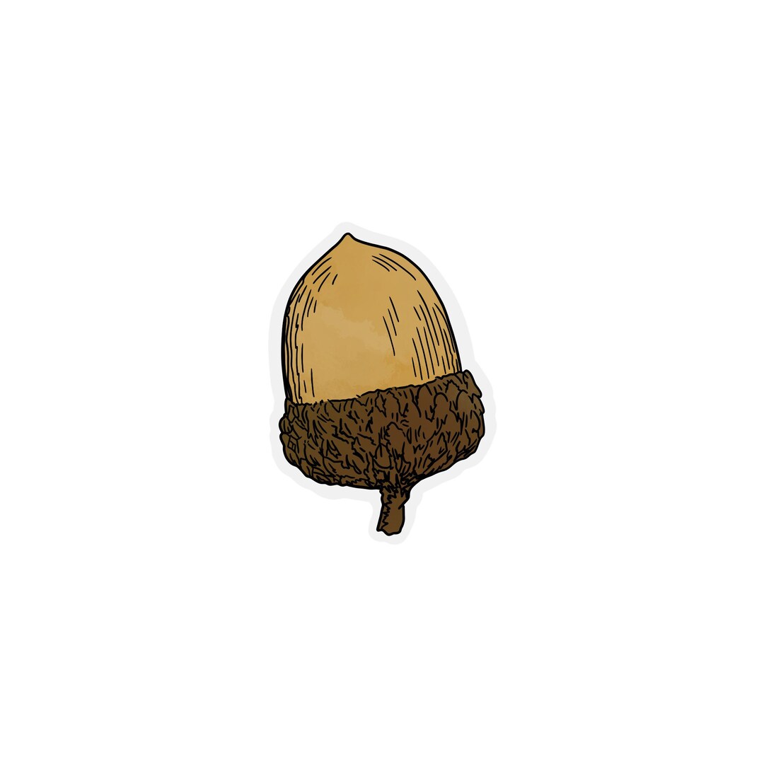 Mini Acorn Transparent Sticker | Clear Flower Sticker | Waterproof ...