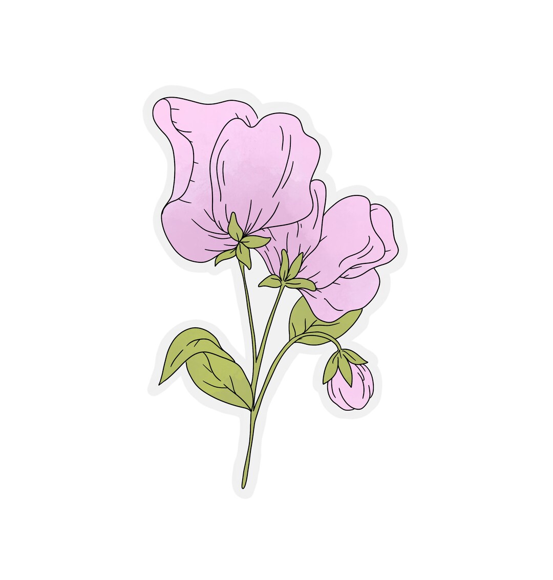 Transparent Sweet Pea Flower Sticker | Clear Flower Sticker ...