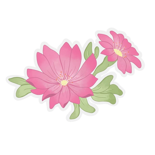 Bitterroot Flower - Etsy