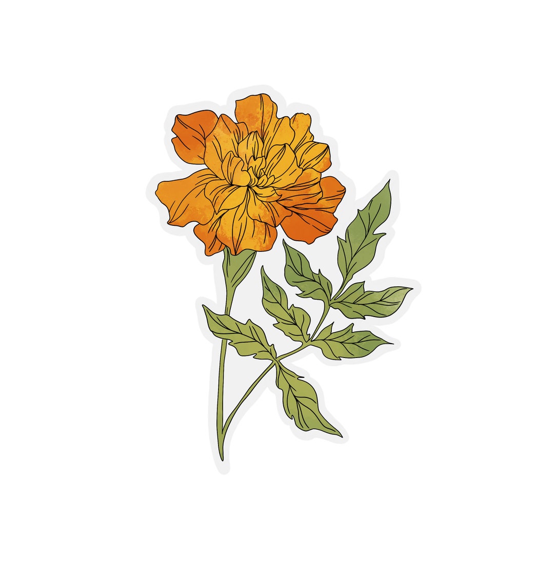 Transparent Marigold Sticker | Clear Flower Sticker | Waterproof Water ...