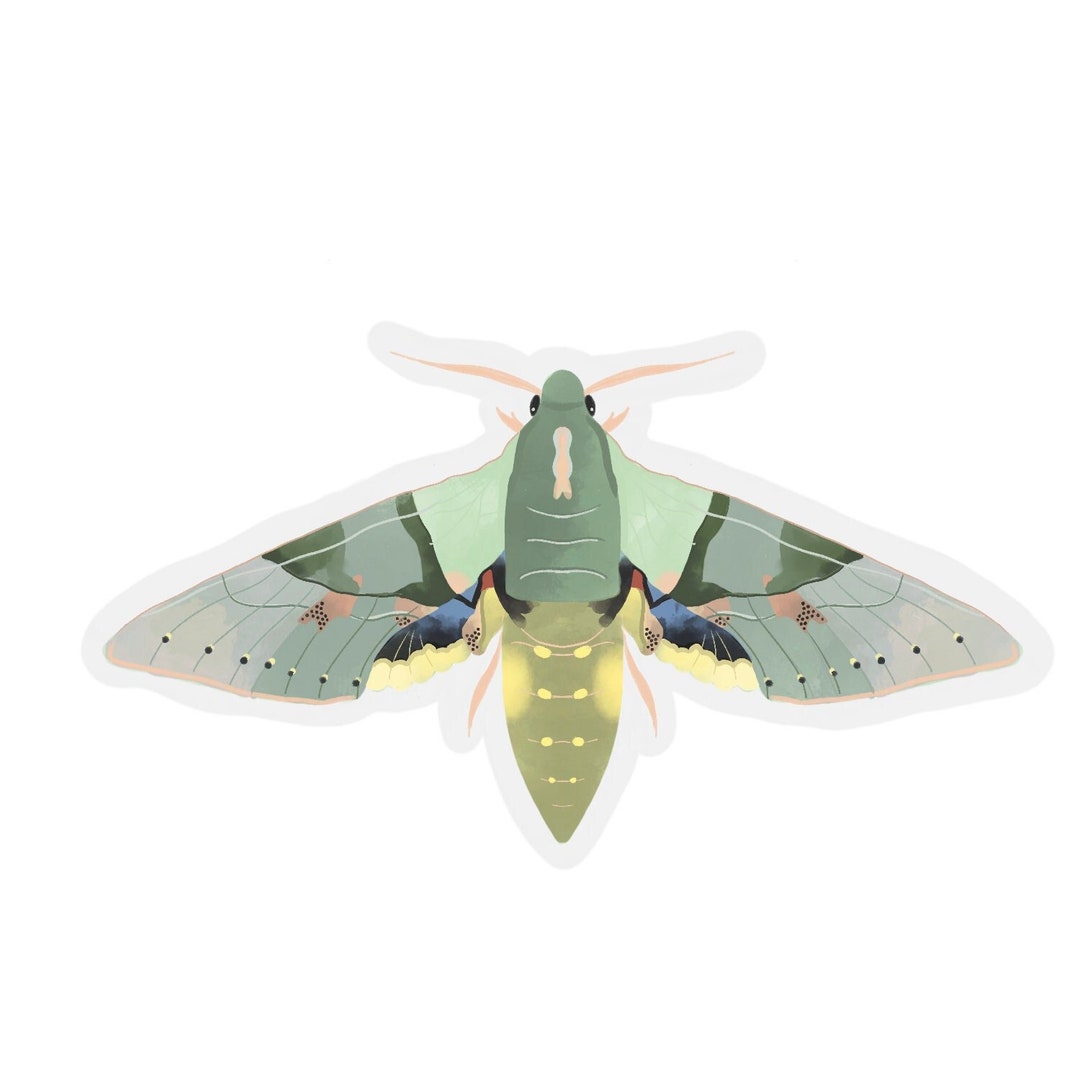 Gaudy Sphinx Moth Transparent Sticker Clear Moth Sticker Waterproof ...
