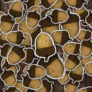 Mini Acorn Transparent Sticker | Clear Flower Sticker | Waterproof ...
