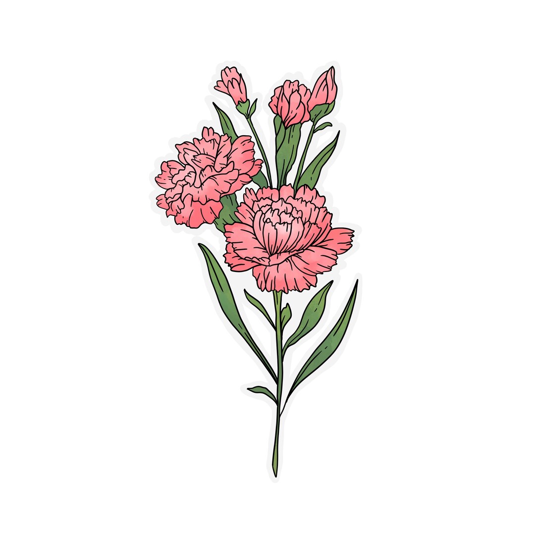 Transparent Carnation Flower Sticker | Clear Flower Sticker ...