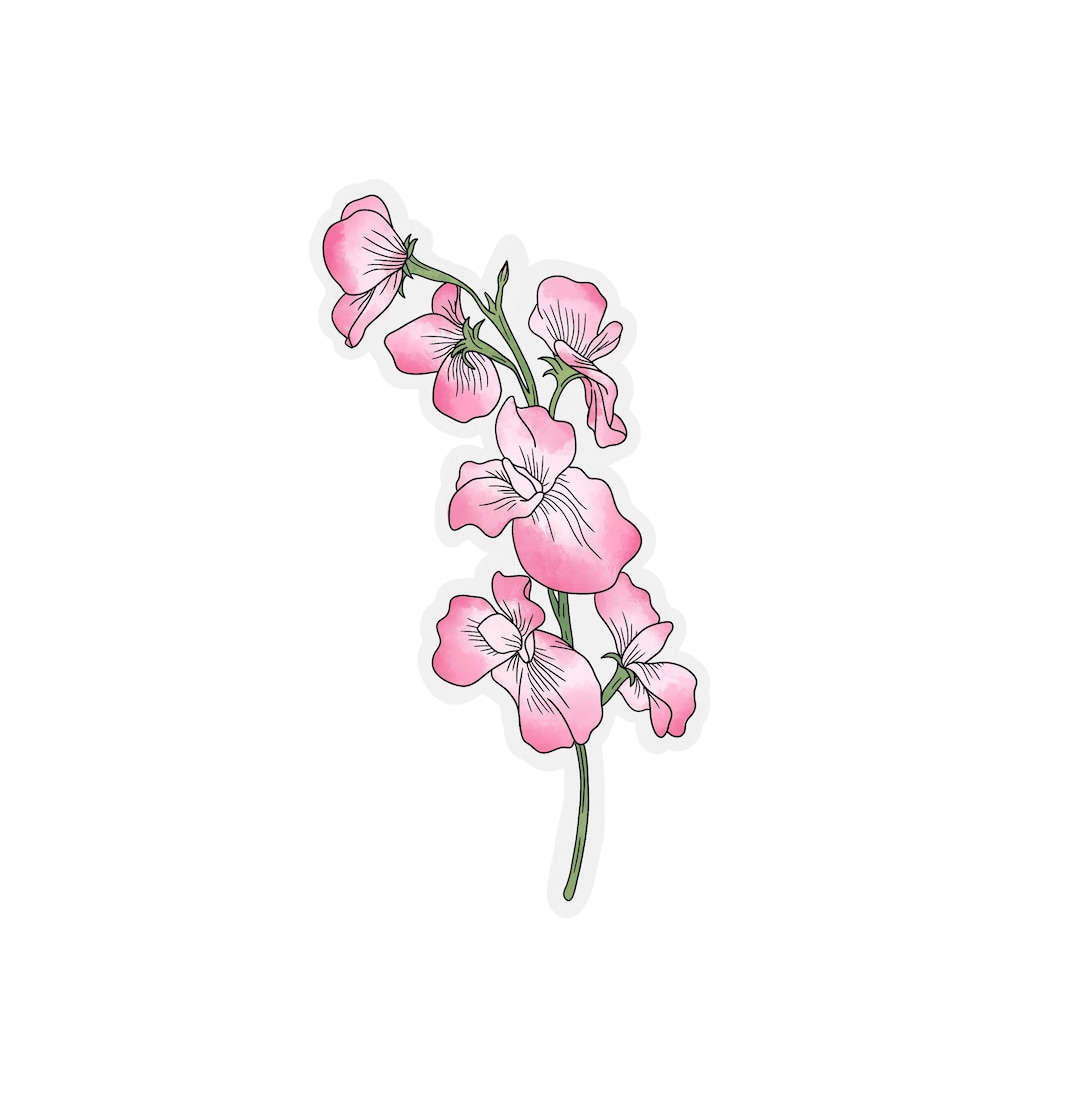 Sweet Pea Flower Transparent Sticker | Clear Sweet Pea Sticker ...