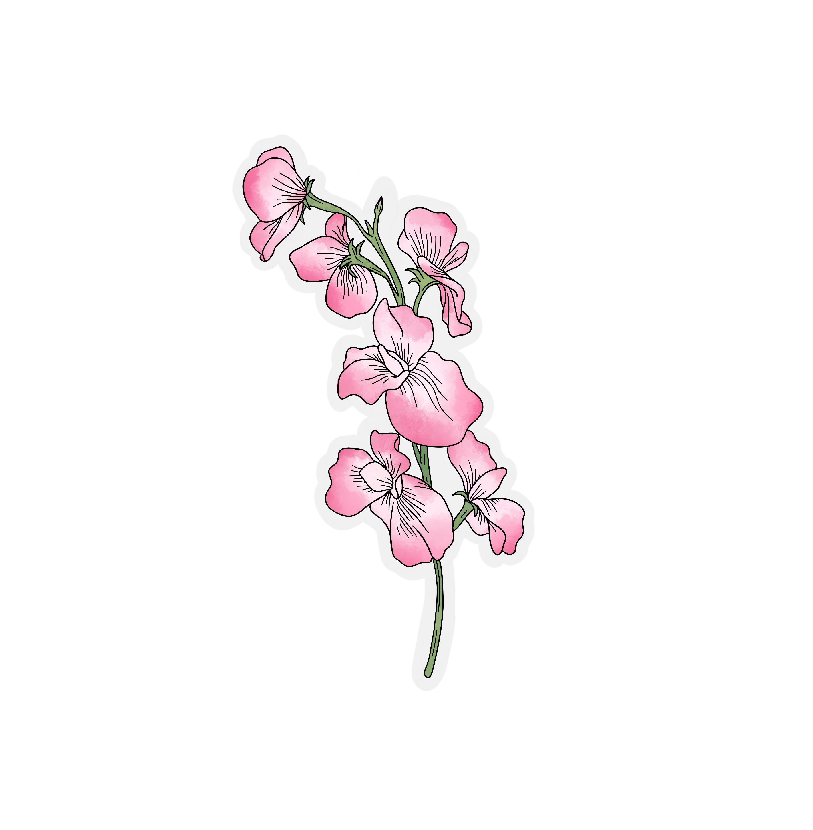 Sweet Pea Flower Transparent Sticker Clear Sweet Pea Sticker Waterproof ...