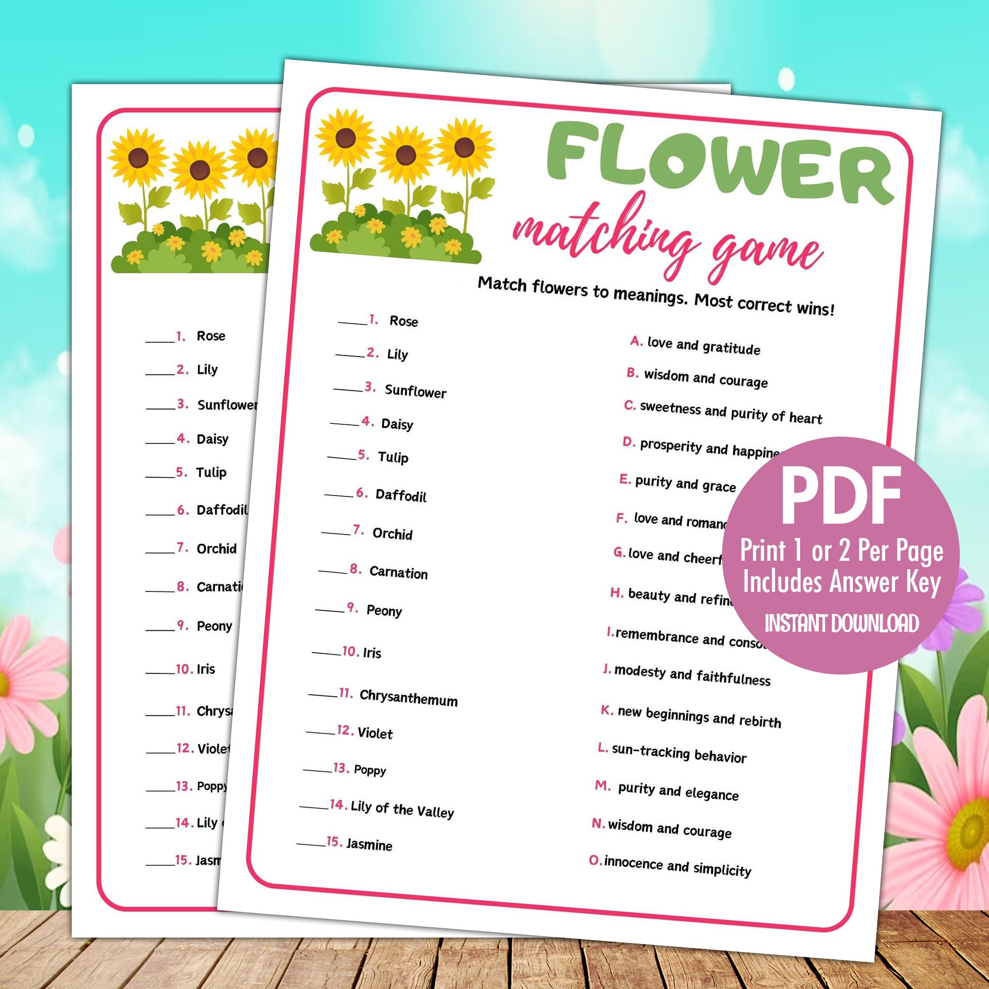 Spring Flower Matching Printable Game | Fun Spring Party Games | Spring ...