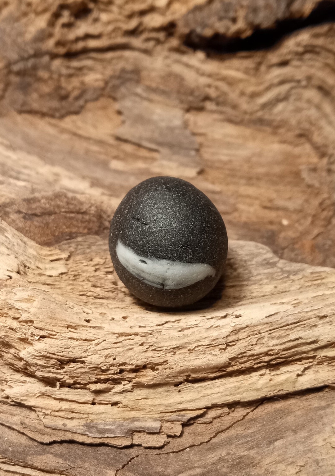 Black and White Opaque Beach Marble Naturally Occurring Weathering Due ...