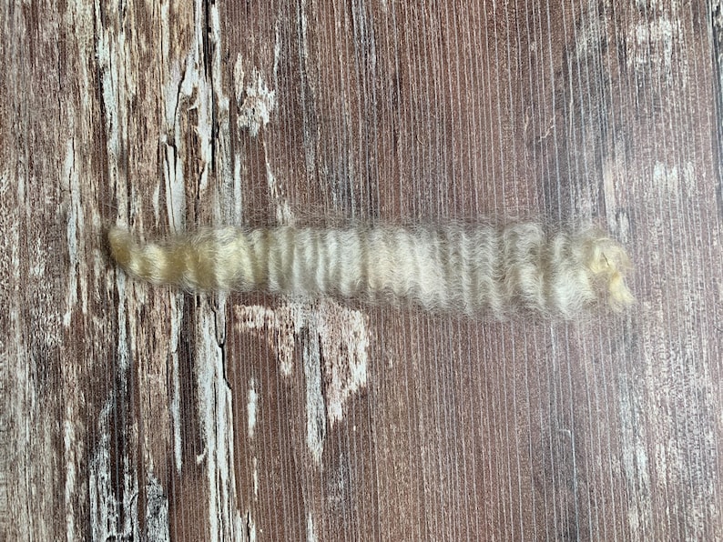 Raw Romney Wool Locks for Spinning and Felting. 4 Oz Natural White ...