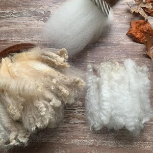 Raw Romney Wool Locks for Spinning and Felting. 4 Oz Natural White ...