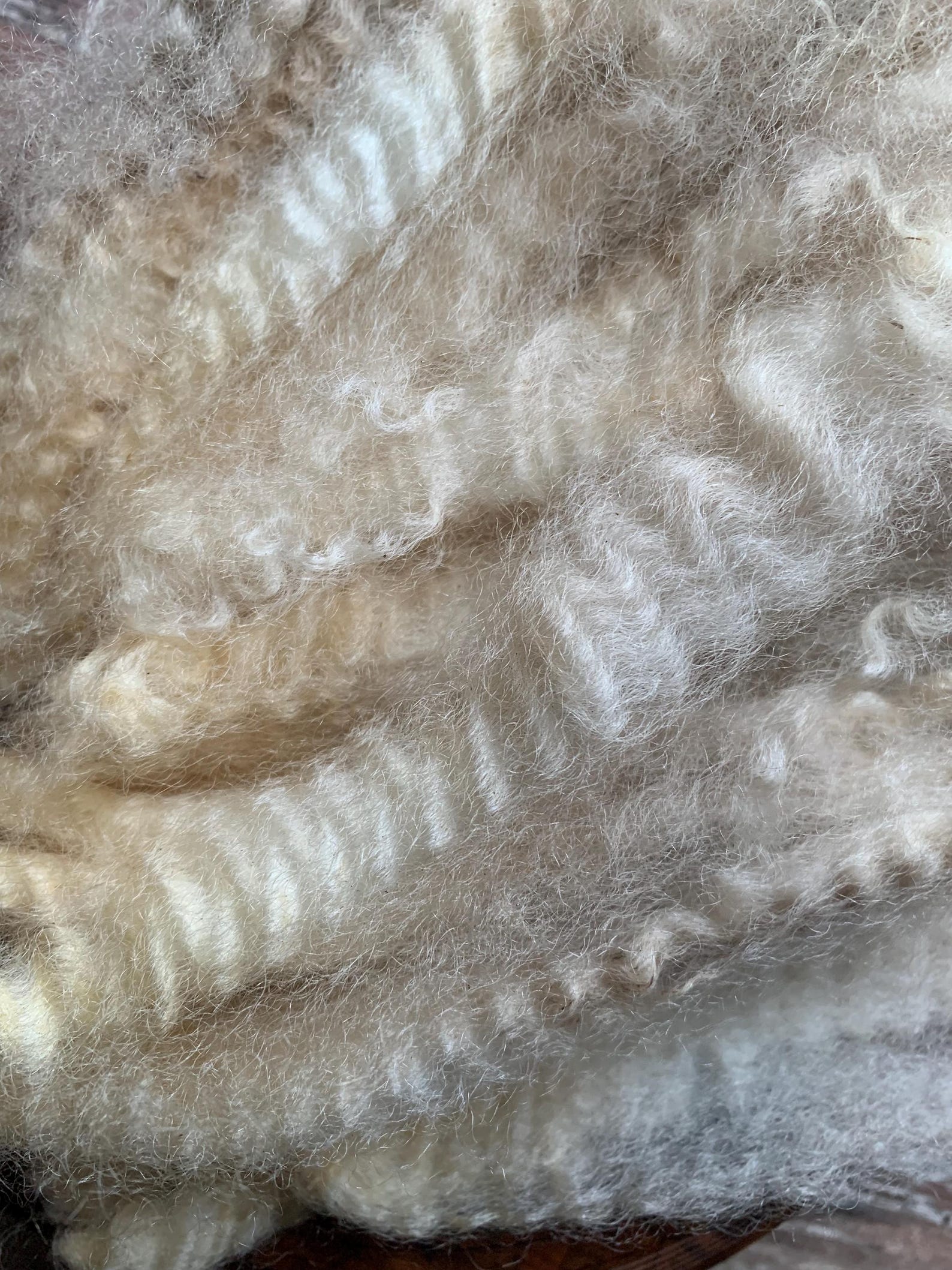 Raw Romney Wool Locks for Spinning and Felting. 4 Oz Natural White ...