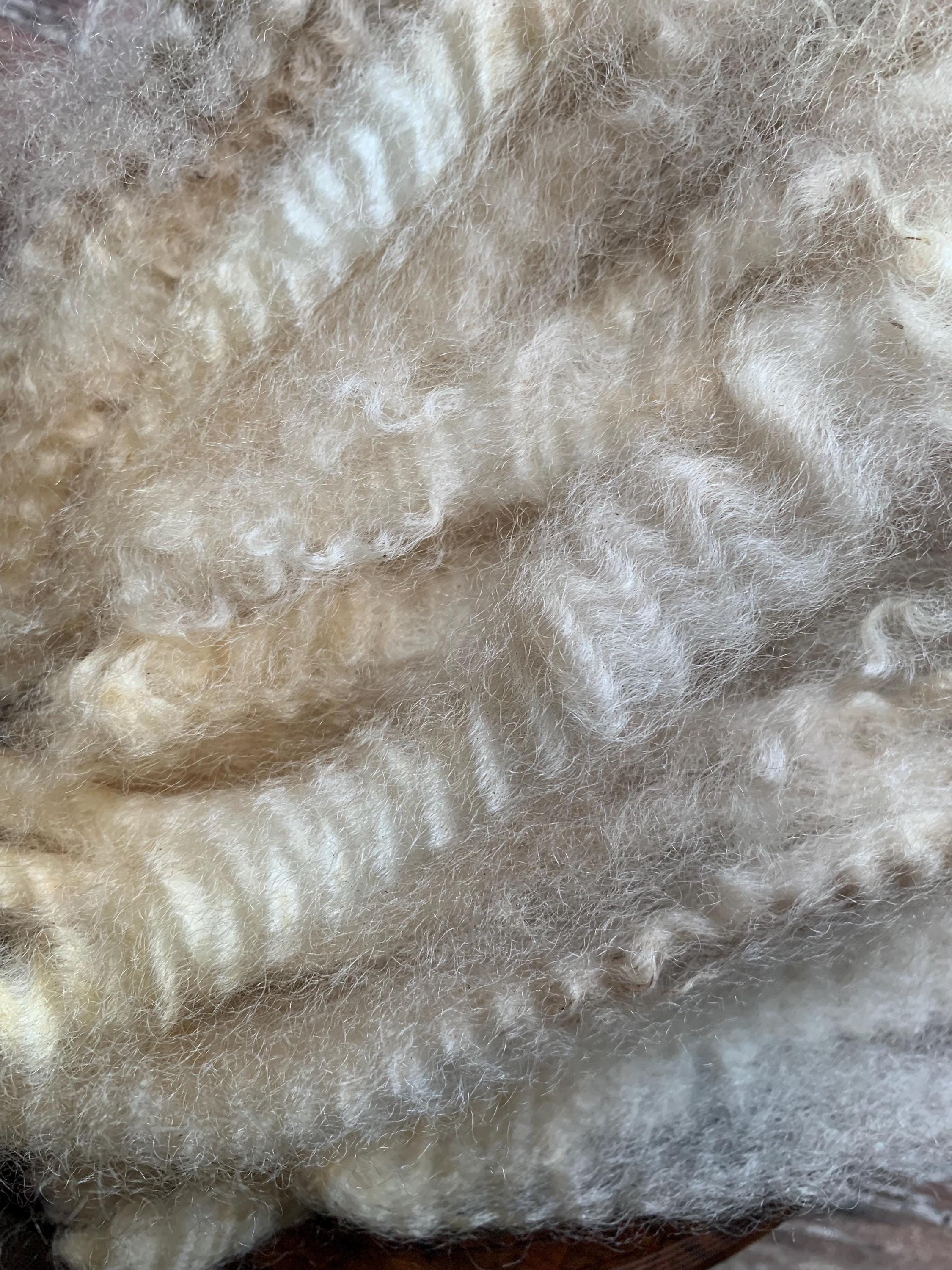 Raw Romney Wool Locks for Spinning and Felting. 4 Oz Natural White ...