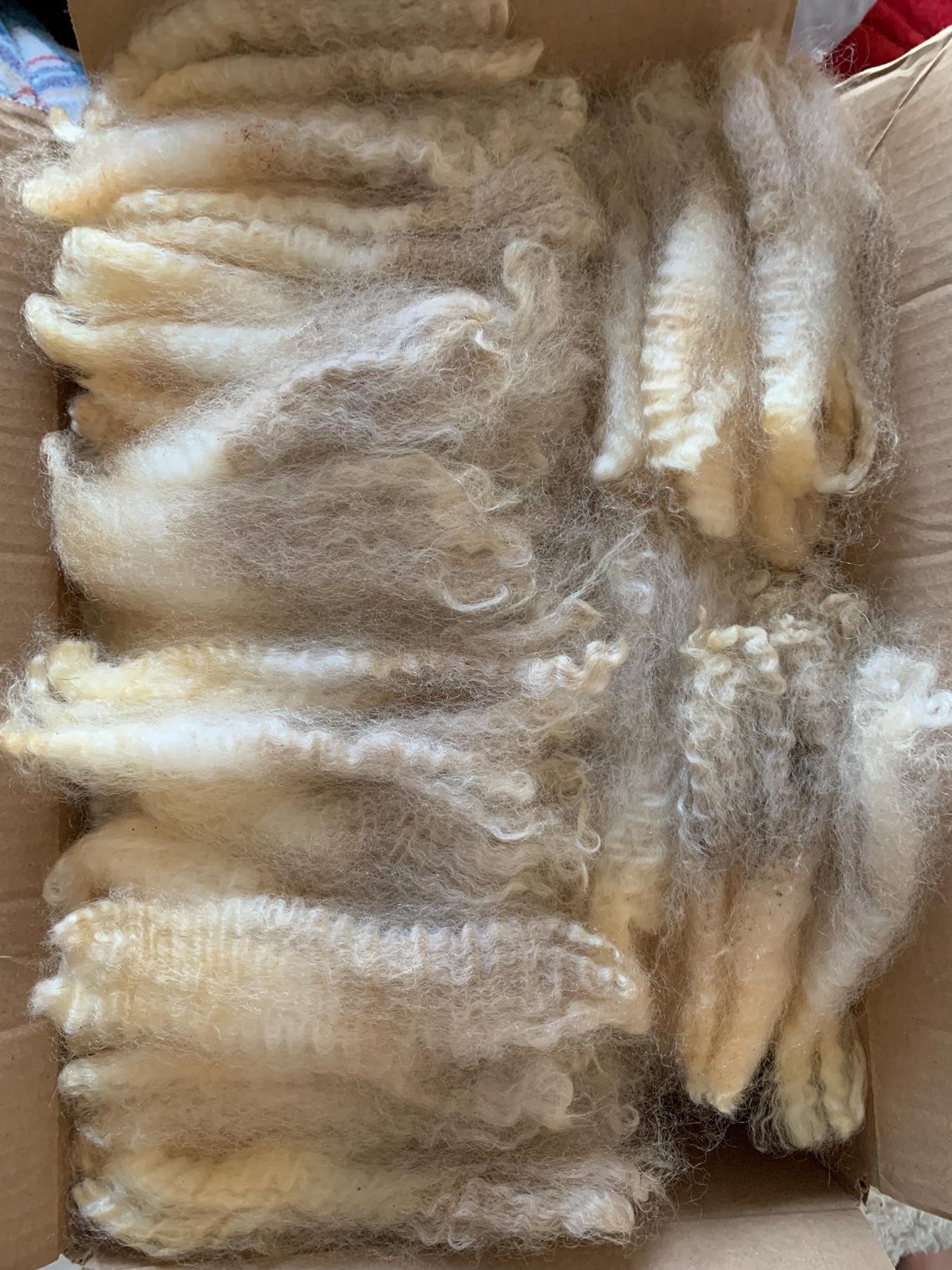 Raw Romney Wool Locks for Spinning and Felting. 4 Oz Natural White ...