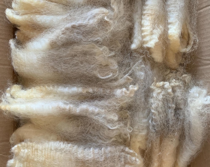 Raw Romney Wool Locks for Spinning and Felting. 4 Oz Natural White ...