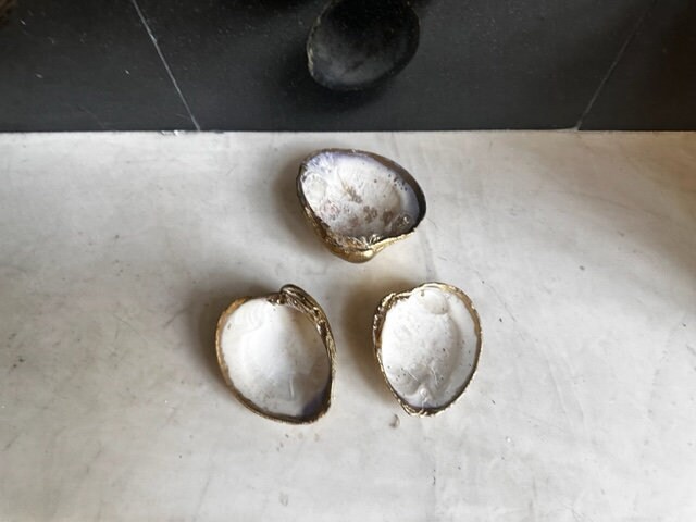 Gilded Sea Shells/ Gold Sea Shells/ 3-4 Inches Clam Shells/ 10 Pieces ...